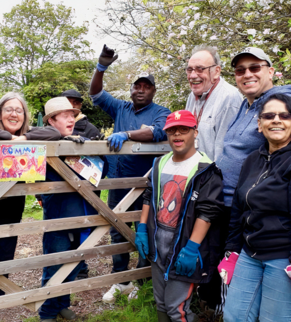 CB Plus Home - CB Plus